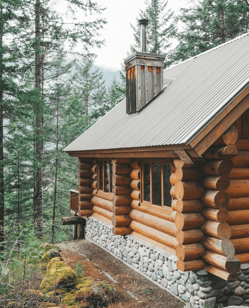Best Wood Treatment Options for Your Log Home